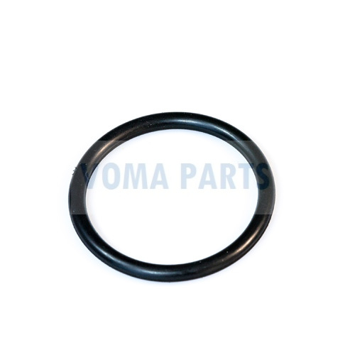 20412325 - O-Ring (11700522) | VomaParts